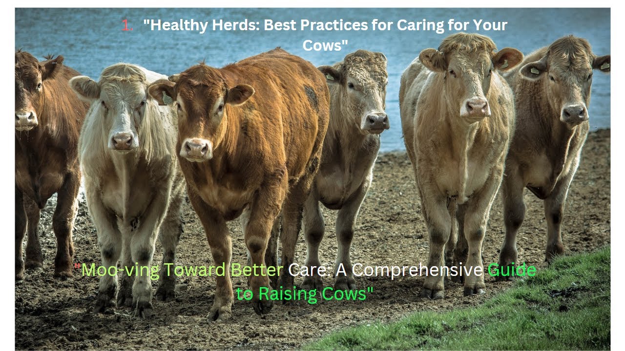 "Cow Health and Happiness: Essential Tips for Caring for Your Bovine ...