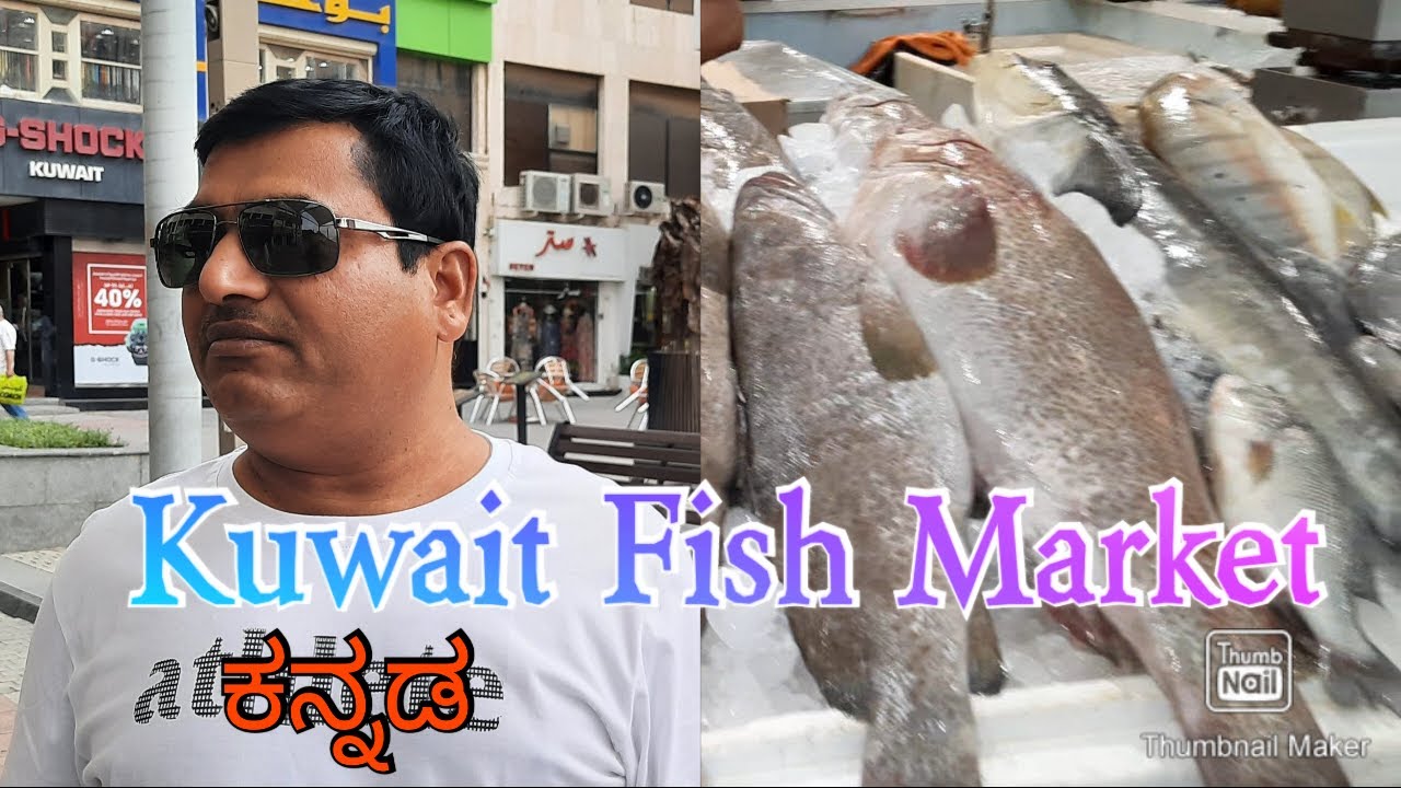 Kuwait Fish Market ಕನ್ನಡ 2023 - YouTube