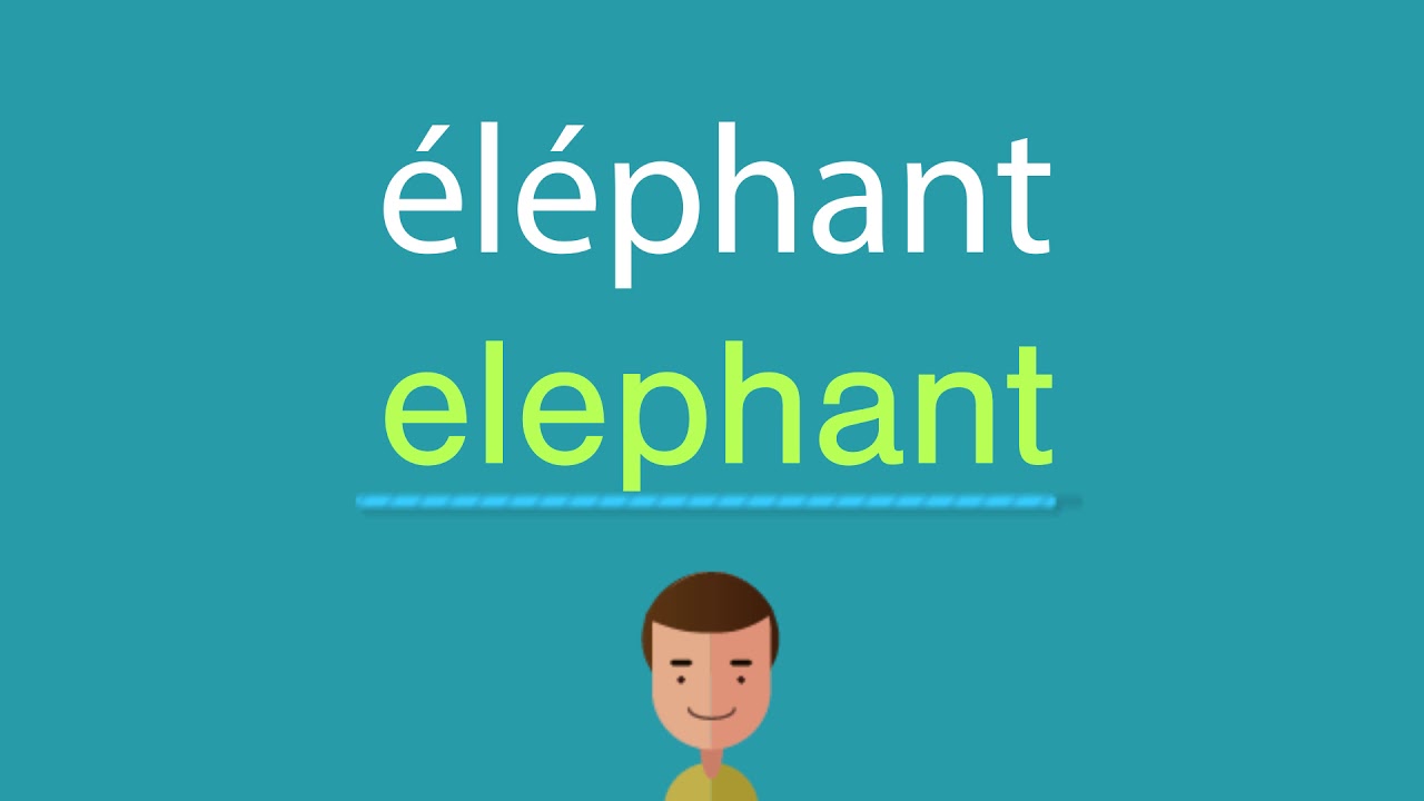Comment dire éléphant en anglais - YouTube