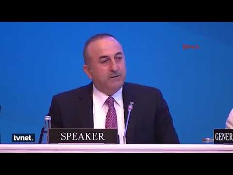 Çavuşoğlu Ermeni Vekile Haddini Bildiriyor!