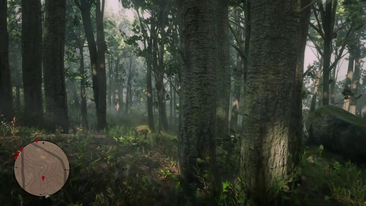 Red Dead Redemption 2 - voice In the forest - YouTube