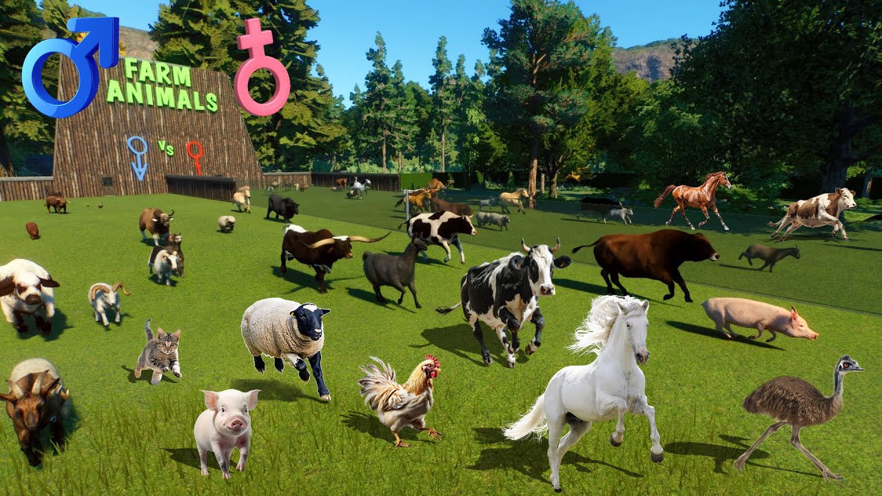 50 Male VS 50 Female Farm Animals Race in Planet Zoo included Cow ...