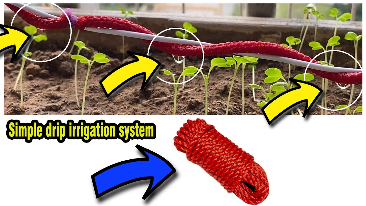 Simple drip irrigation system with plastic Jars - anyone can do almost ...