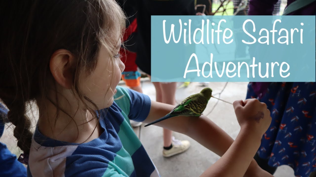 ANIMALS UP CLOSE At Wildlife Safari Oregon YouTube animals-up-close-at-wildlife-safari-oregon-youtube
