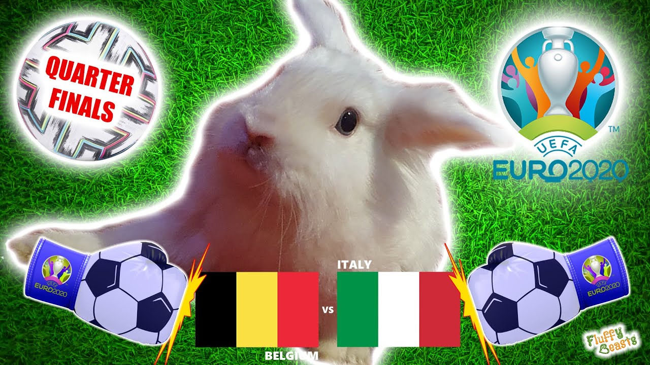 UEFA Euro 2020 Predictions | Belgium vs Italy | Bunny Rabbit Football ...