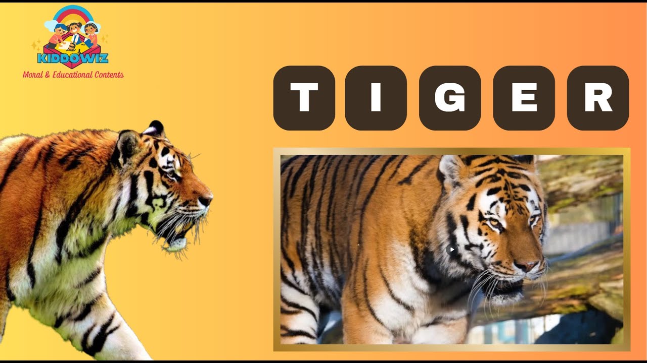 The Animal Guessing and Spelling Game for Kids 2 - YouTube