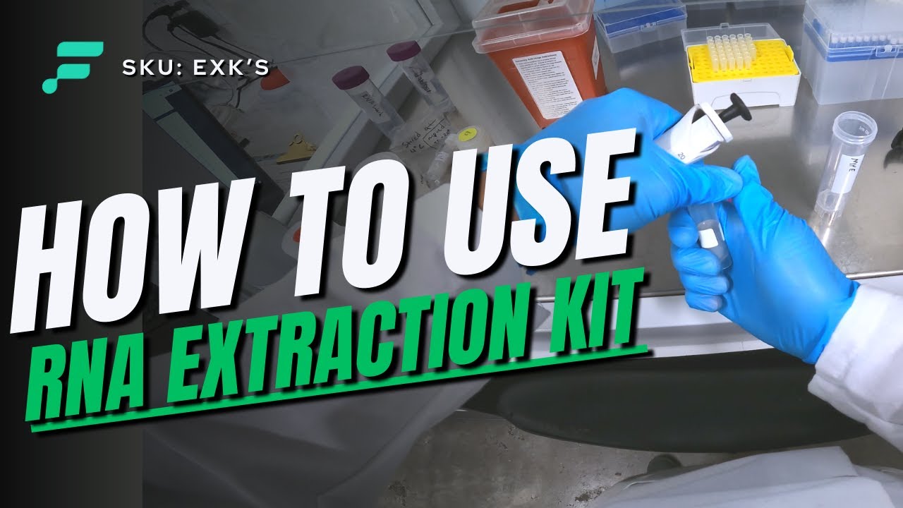 How to Use the Filtrous RNA Extraction Kit - YouTube