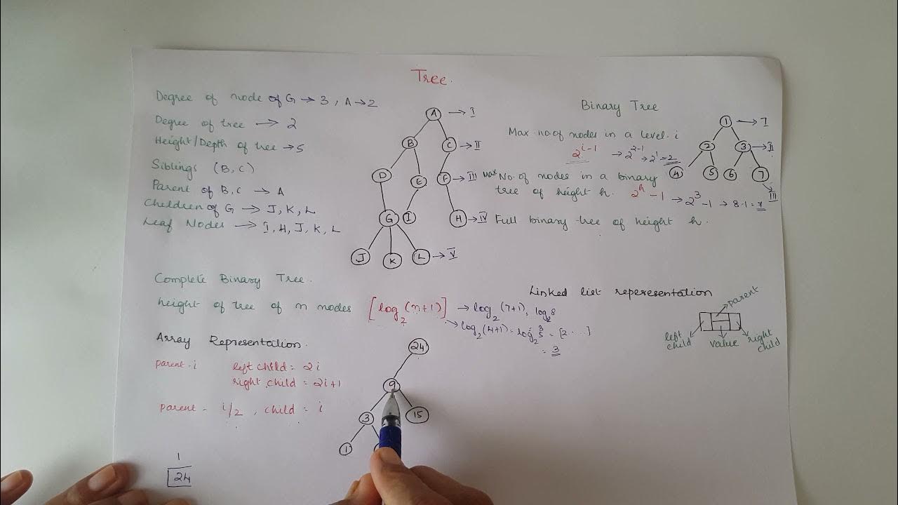 Tree Data structure | Binary Tree | Array and Linkedlist Representation of Tree - YouTube