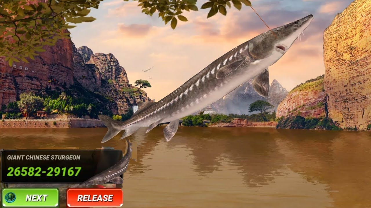 Fishing The Biggest Fish In Fishing Clash! Ep132 - YouTube