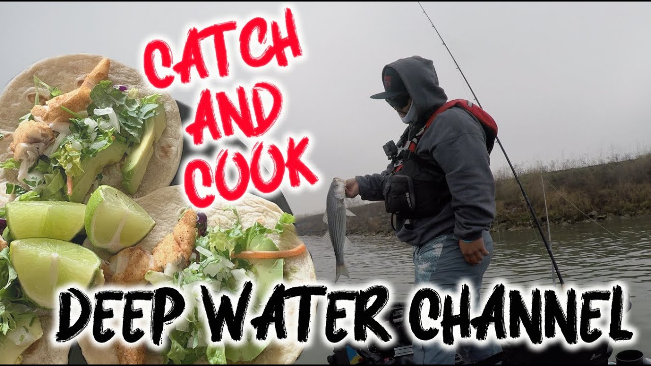 Striper Fishing at DWC - 4K Video *Bonus Footage* Sac Foods Review ...