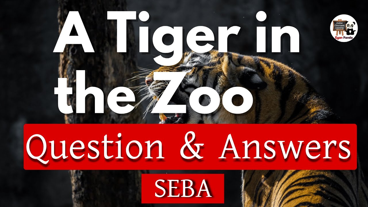 Tiger in the Zoo || Question & Answers || SEBA || Assamese Medium ...