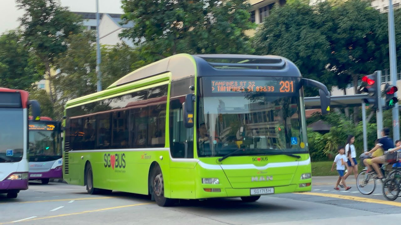 SG1713H 291 - YouTube