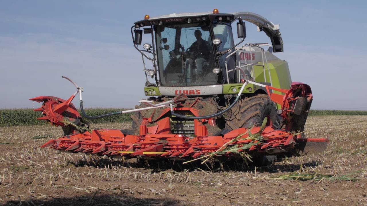 Ensilage Maïs 2016 - Claas Jaguar 960 - SARL Dumeige - YouTube