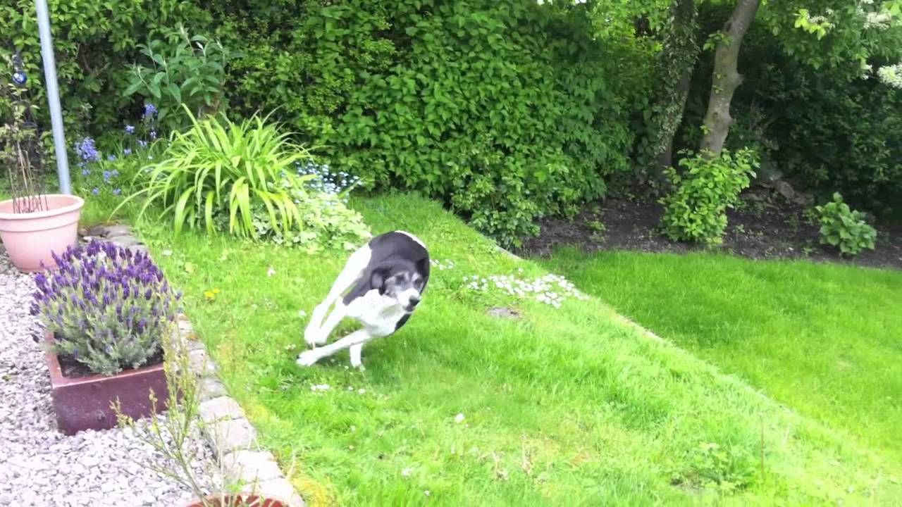Sally Running - YouTube