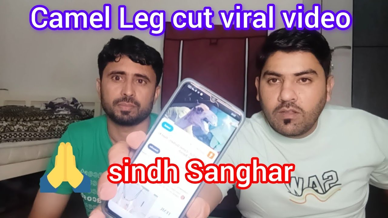 Camel Leg cut viral video sindh Sanghar Pakistan - YouTube