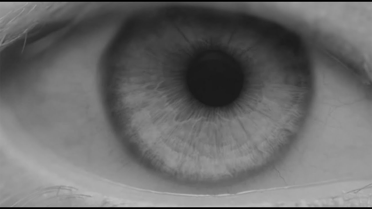 BACKWHEN & ESCPE - FIREWALK [VISUALIZER] - YouTube