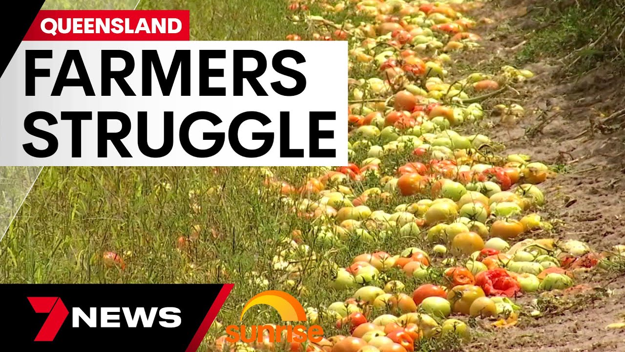Extreme weather pushes Aussie farmers to the brink | 7 News Australia ...