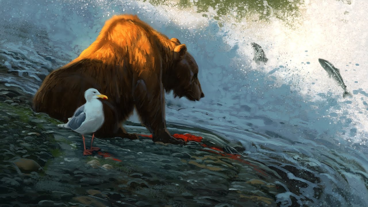 LIVE STREAM - Recreating a Grizzly Bear Encounter in Alaska! - YouTube