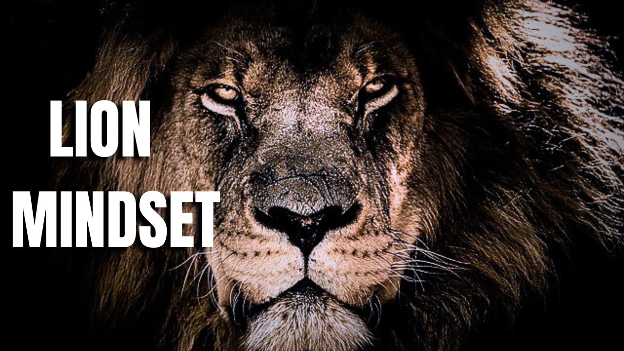 LION MINDSET - Best Motivational Video - YouTube