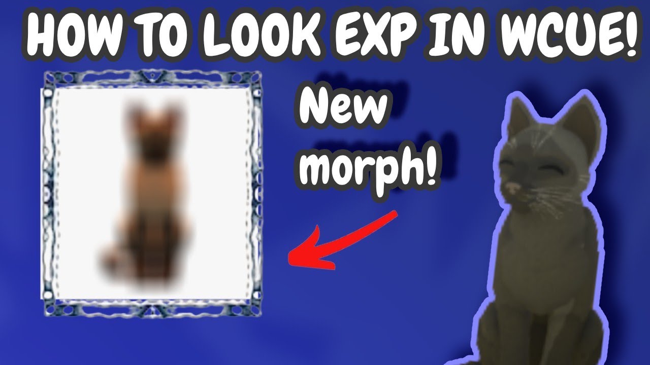 How To Look Exp In Wcue Read Desc Irixz Youtube