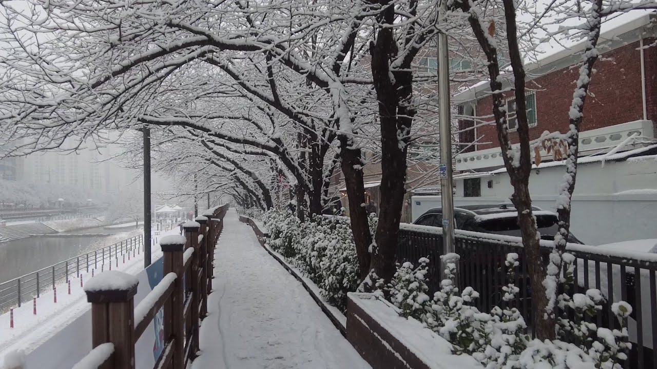 [4k]A Heavy Snow Walk in Uicheon, Seoul | 서울 폭설 산책(우이천) - YouTube