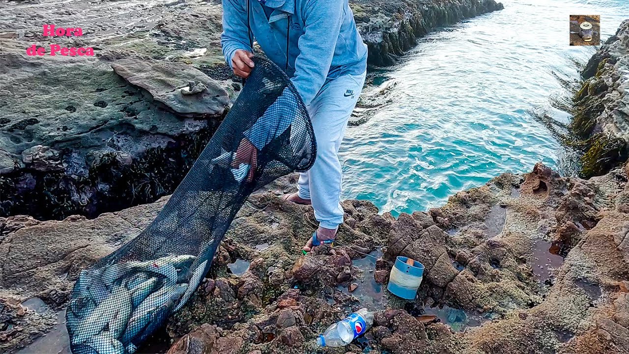 COMO es posible!! ¿Tantos PECES en un pocito? || Learn to bait fish ...