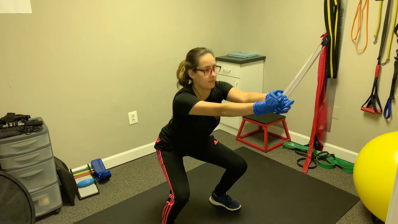 Core Stability Series - The Pallof Press - YouTube