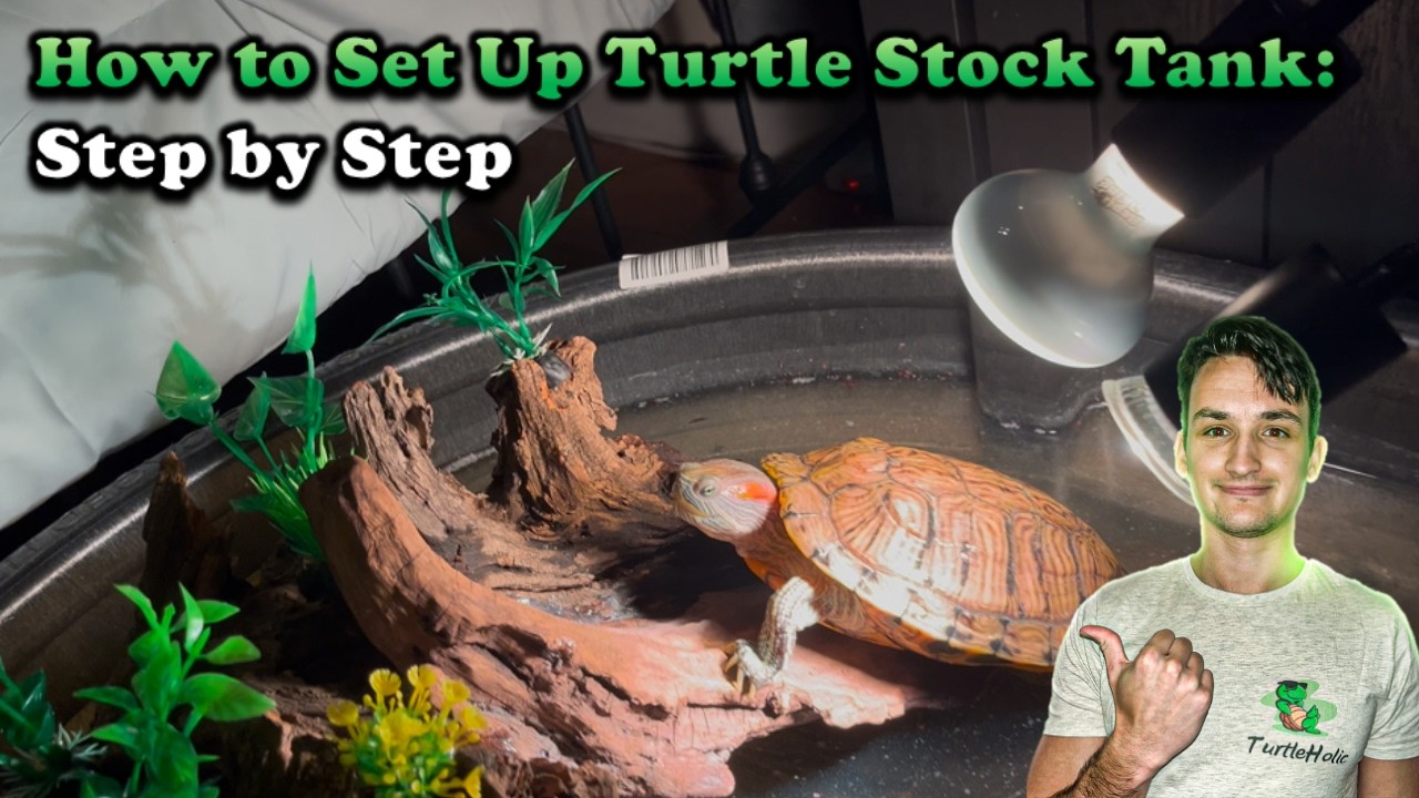 Turtle Stock Tank Setup: Step by step - YouTube
