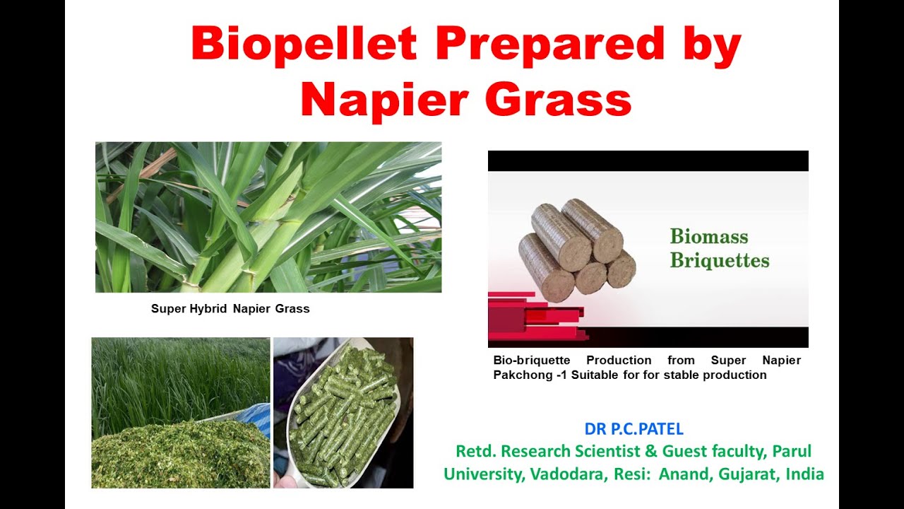 Biopellet Prepared by Napier Grass- DrP. C. Patel - YouTube