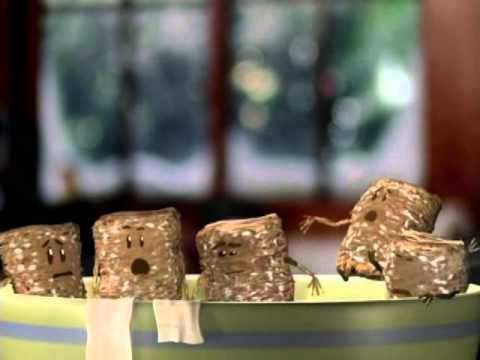 Tanner Blaze Whitlock - Kellogg's Frosted Mini Wheats Commercial (2007 ...