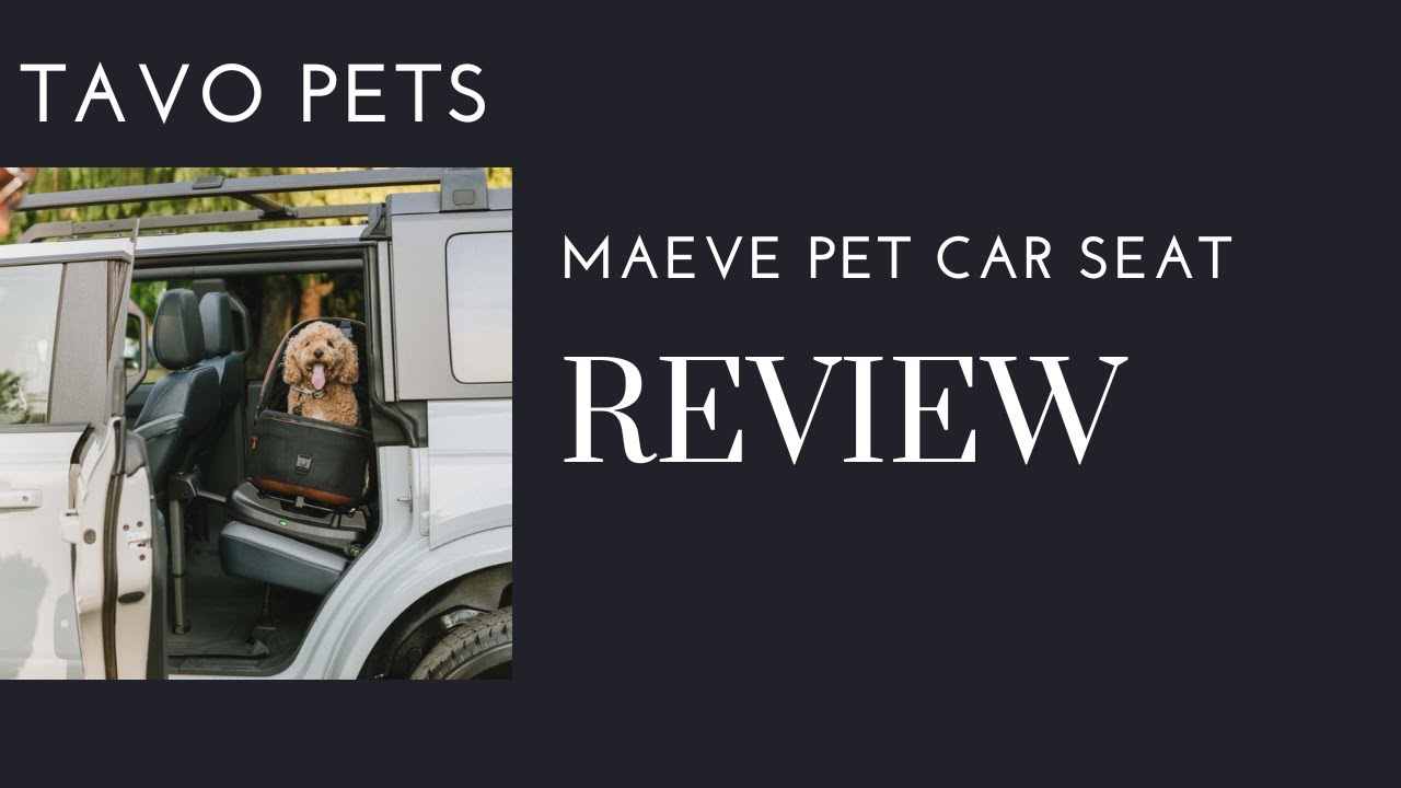 The Best Pet Travel Solution?: Maeve Pet Car Seat by Tavo Pets Reviewed ...