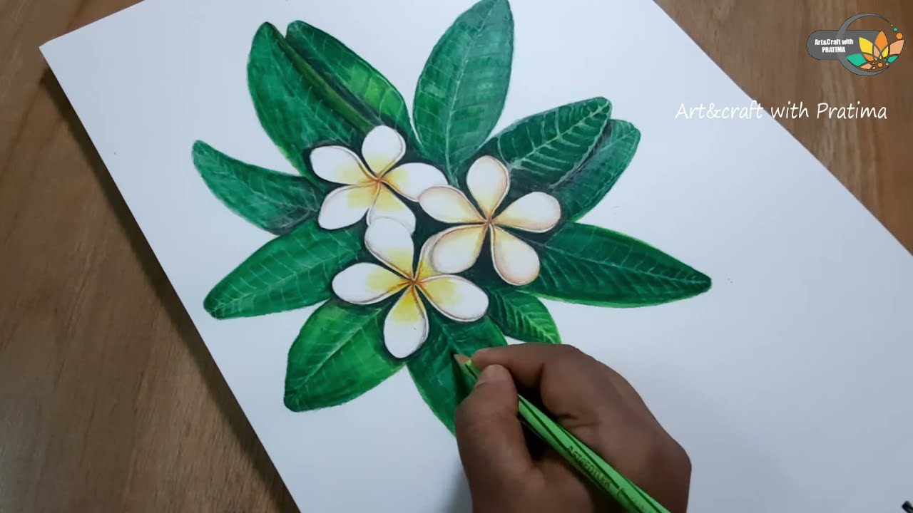 Frangipani drawing easy ||Art&craft with PRATIMA # ...