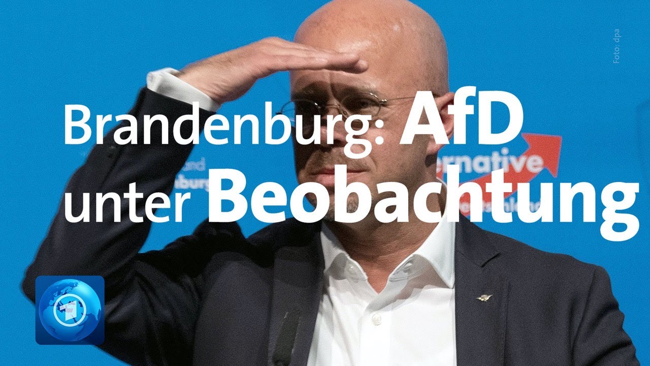 Beobachtung der AfD-Brandenburg – die Landesregierung informiert. - YouTube