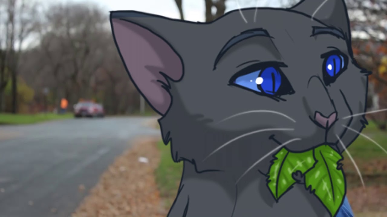 Cinderpaw Crosses the Thunderpath - YouTube