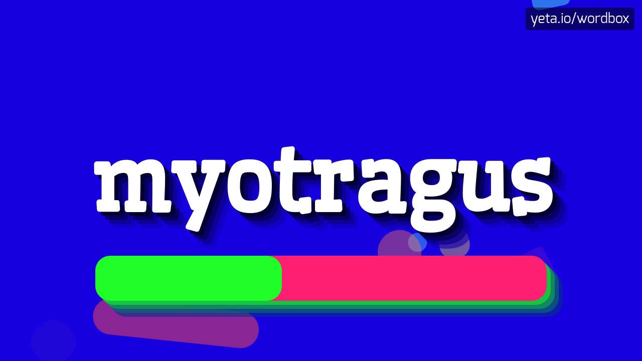 MYOTRAGUS - How to say Myotragus? - YouTube