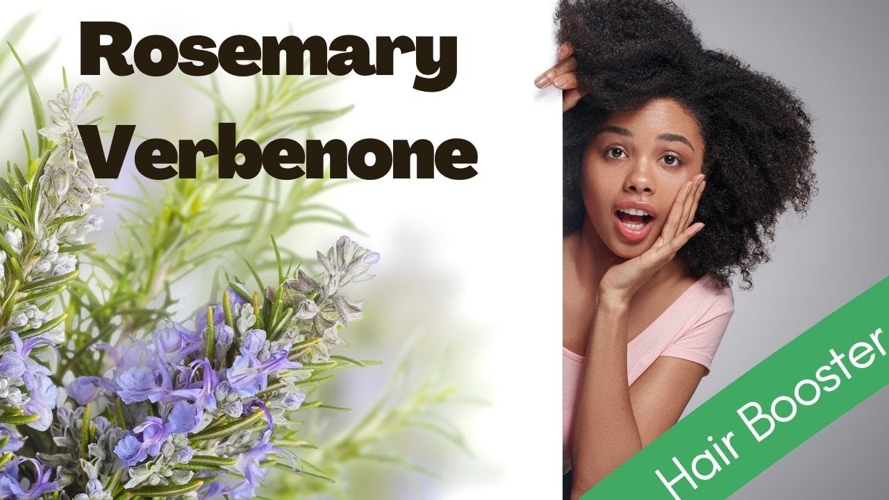 Rosemary Verbenone Essential Oil | Uses, Benefits, and Insights - YouTube