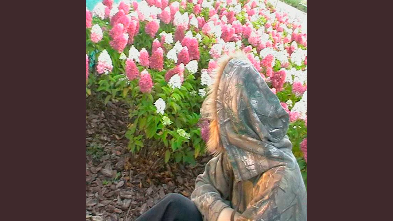 Rotten Scars - YouTube