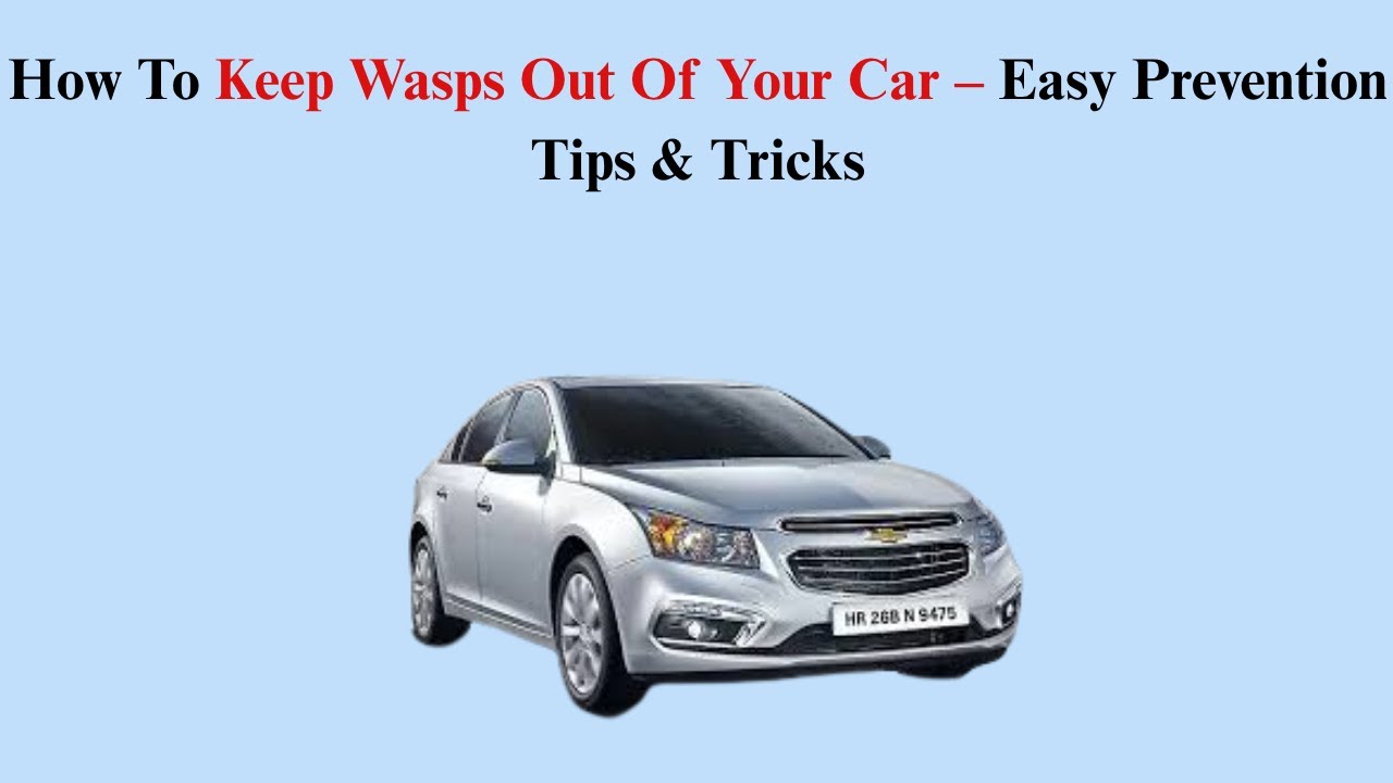 How To Keep Wasps Out Of Your Car – Easy Prevention Tips & Tricks - YouTube