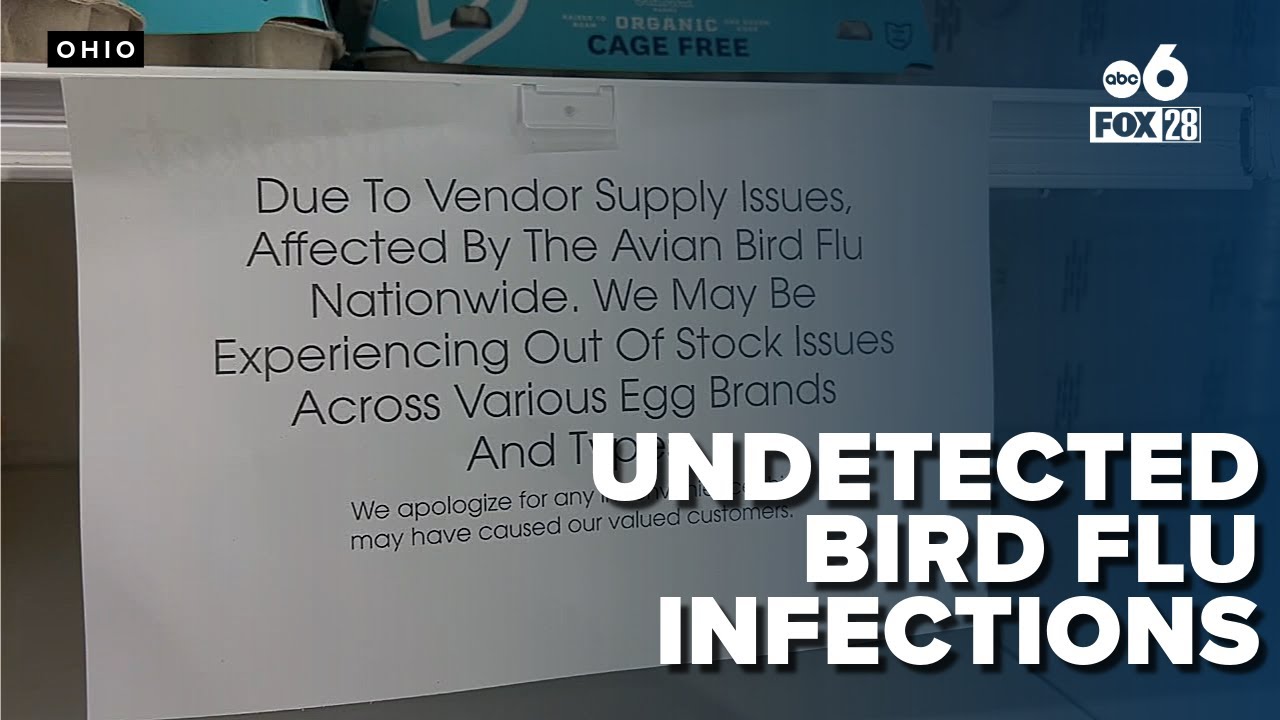 Bird Flu cases leave Ohio farmers, health officials concerned - YouTube