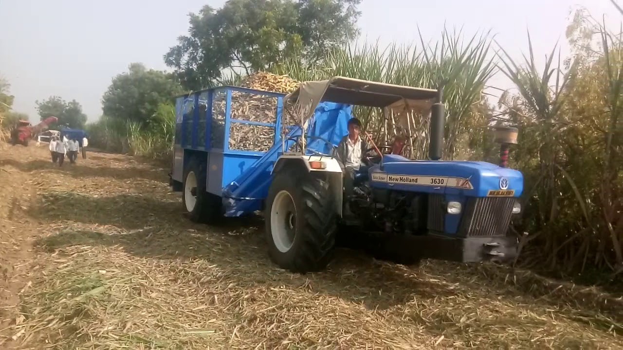 Sugar Cane Harvester Infielder NH 3630|| Bharat Baramti - YouTube
