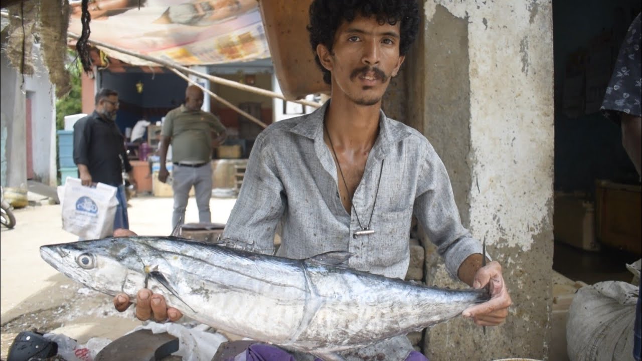 AMAZING KING FISH CUTTING|MABOO BHAI CUTTING TECHNIQUE|FRESH SEAFOOD ...