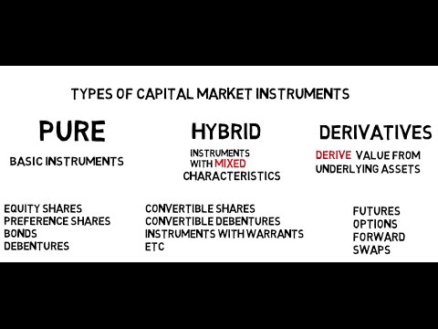 Capital Market Instruments