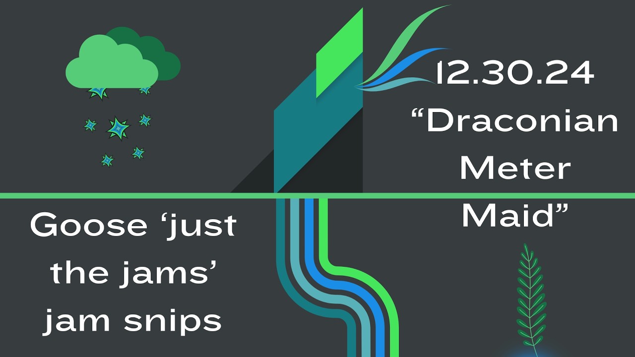Goose 'just the jams' jam snips - 12/30/24 "Draconian Meter Maid" - YouTube