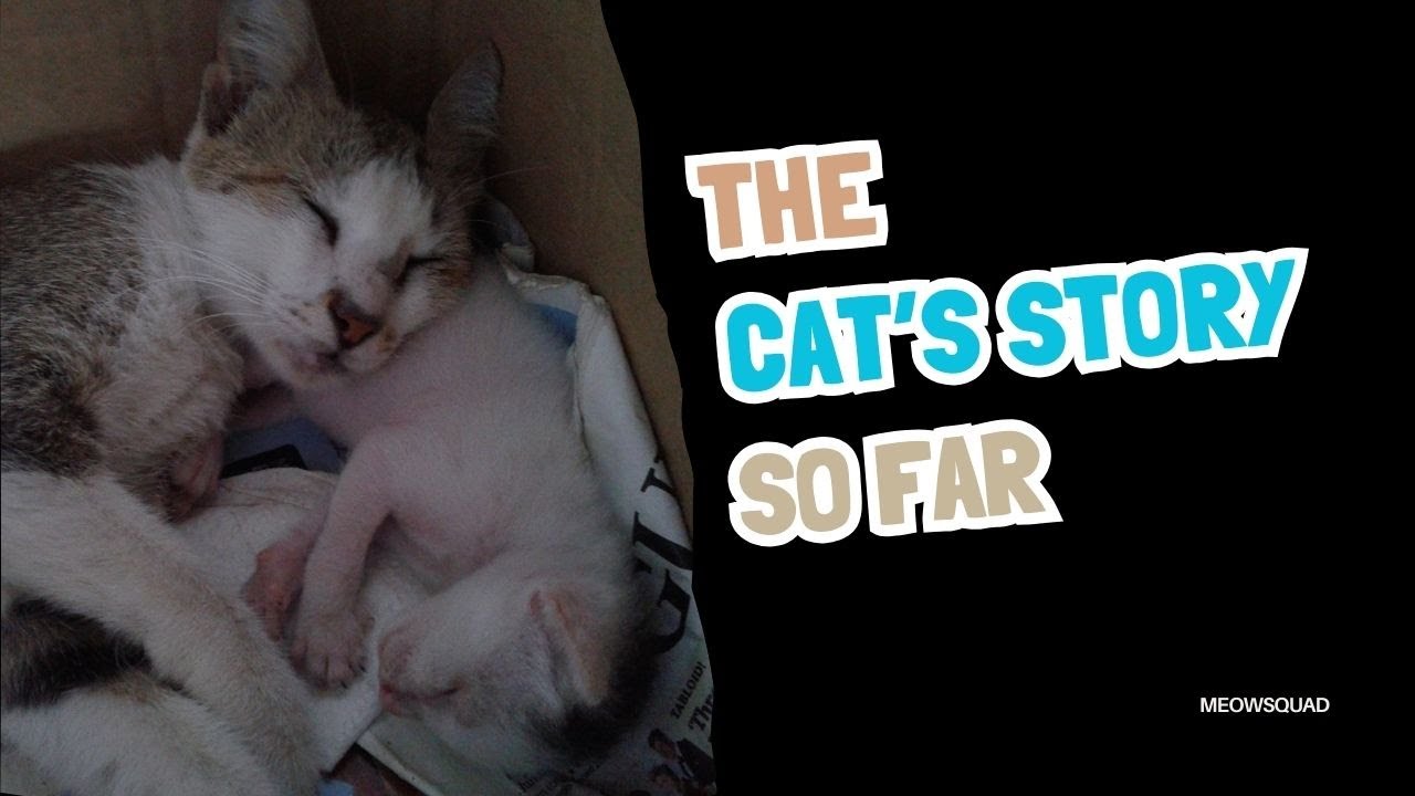 [37] Summary - the story so far - YouTube
