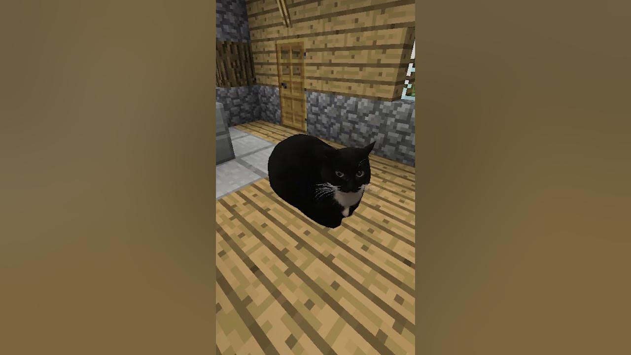 Maxwell The Carryable Cat In Minecraft Part 1 Youtube