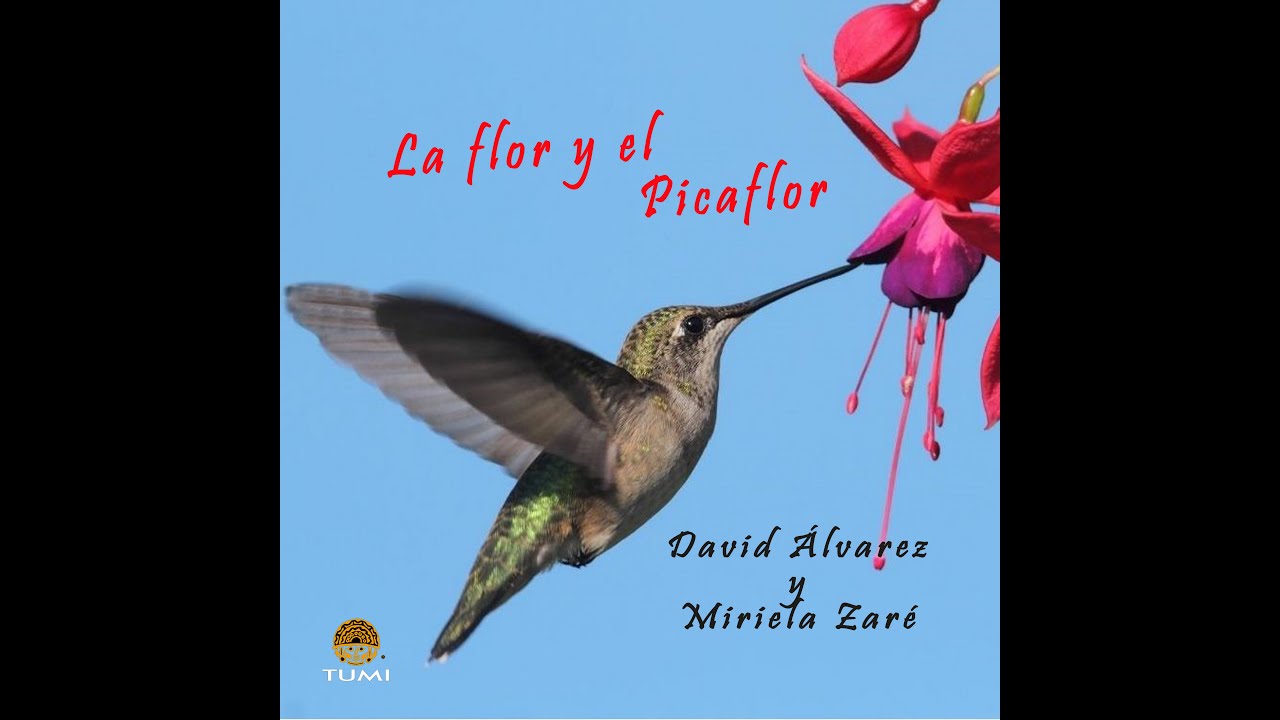 La Flor y el Picaflor - David Alvarez ft. Miriela Zare. (English ...