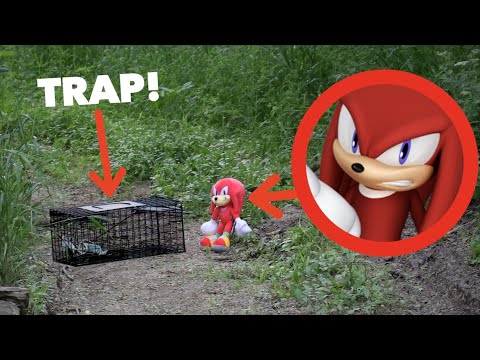 I CAPTURED KNUCKLES IN REAL LIFE! *Sonic the Hedgehog*