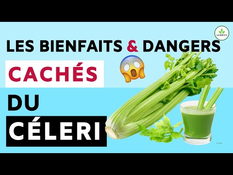 Céleri: Ses bienfaits et dangers pour la santé (jus de céleri)