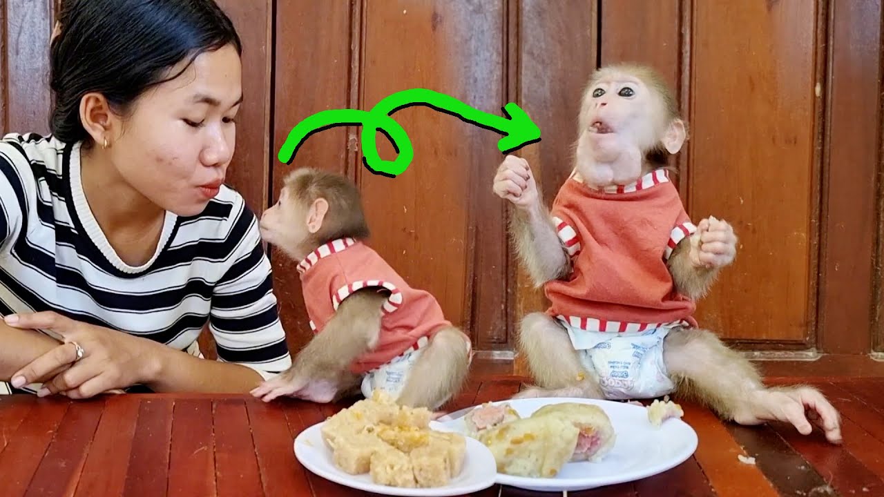 BeeBoy Thank Mom With His Sweet Kizz So Lovely Apriciate Her Cooking ...