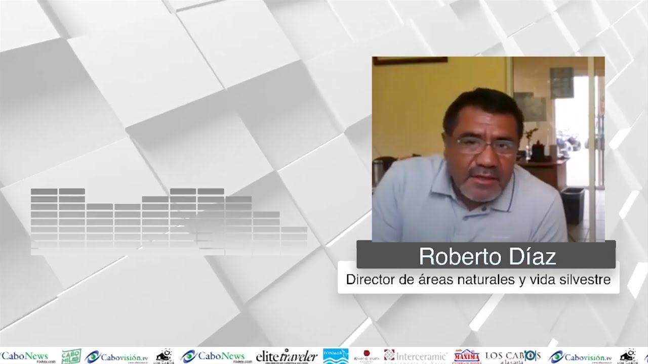 Entrevista en video con Roberto Díaz Director de Áreas Naturales y Vida ...